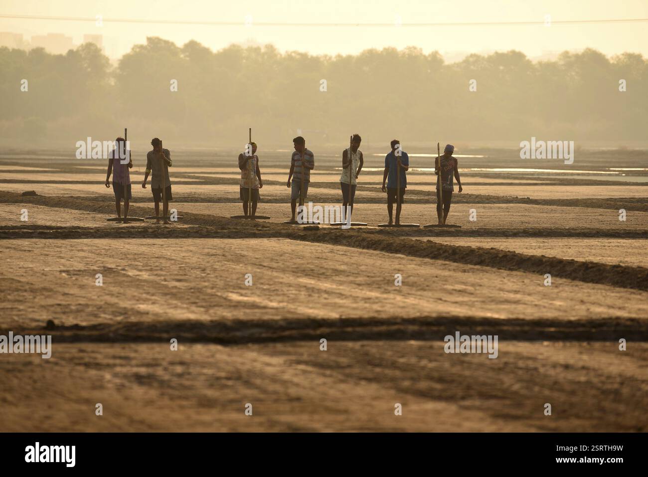 Salt pans india hi-res stock photography and images - Alamy