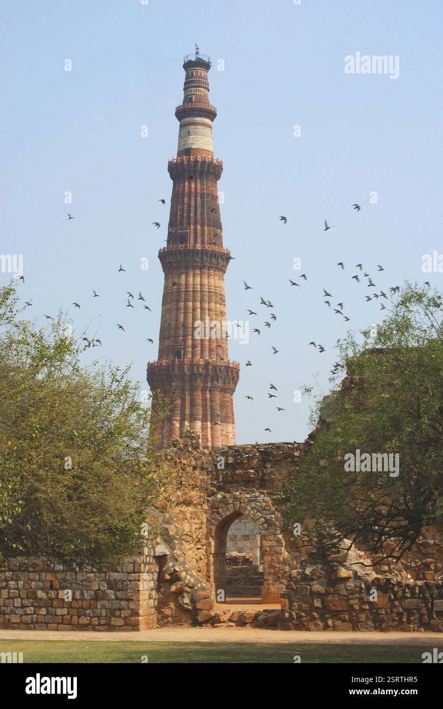 Qutab Kutub Minar with ruins bird flying, Delhi, India, Asia Stock ...