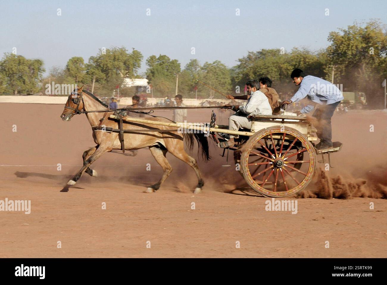 Horse cart race, Jodhpur, Rajasthan, India, Asia Stock Photo - Alamy