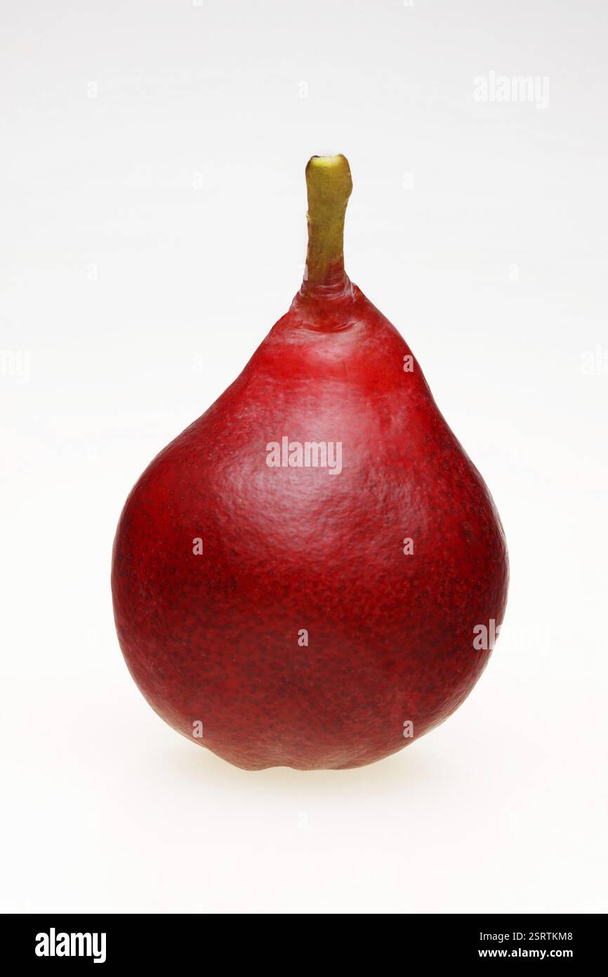 Pears of india hi-res stock photography and images - Alamy