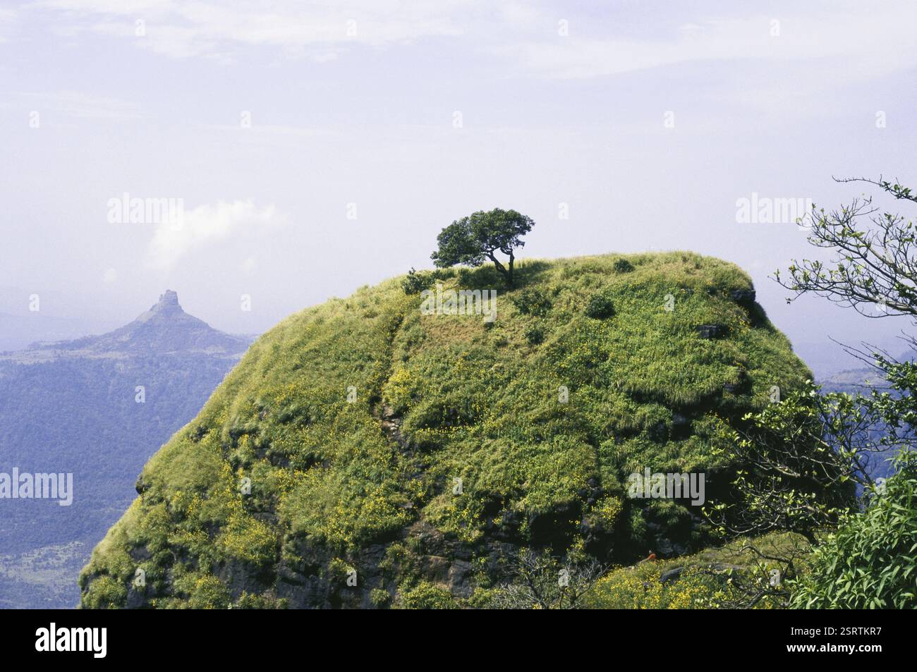 One tree hill point, Matheran, Maharashtra, India, Asia Stock Photo - Alamy