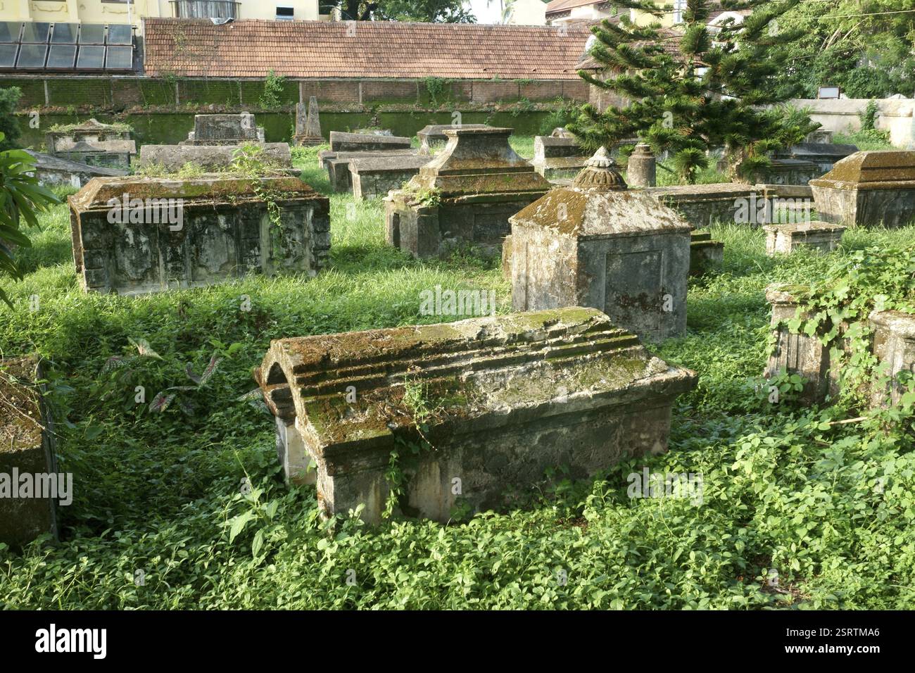 Dutch cemetery in Fort Kochi, Cochin, Kochi, Kerala, India, Asia Stock ...