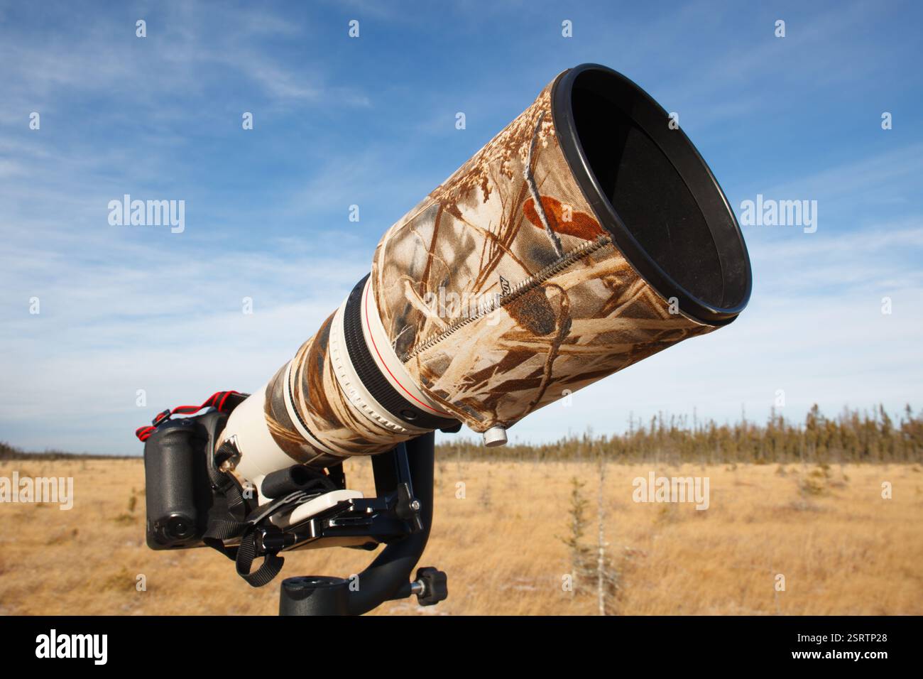 Super telephoto lens and DSLR camera mounted on a tripod with gimbal ...