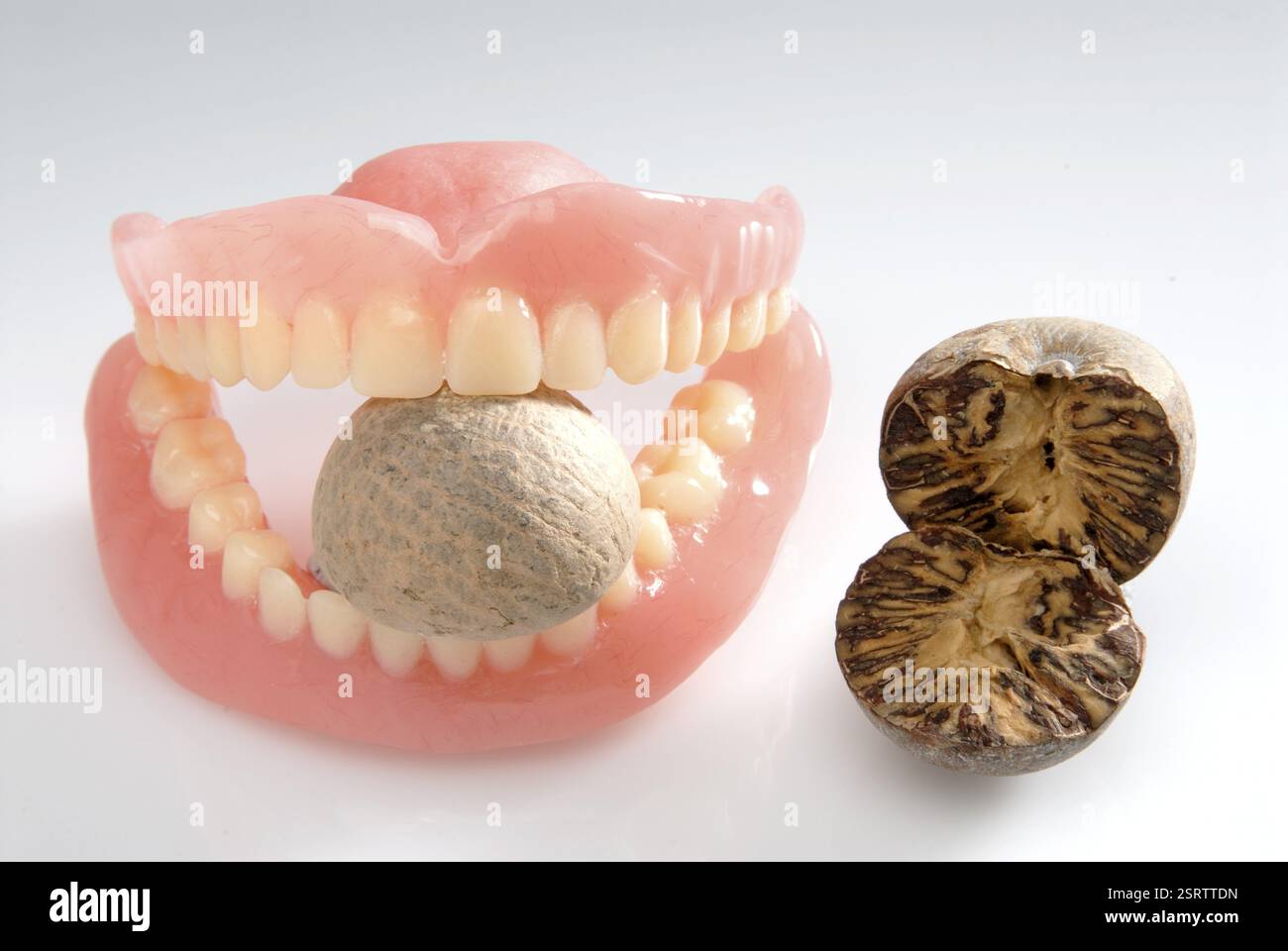 Teeth artificial denture it is as strong as natural break supari or ...