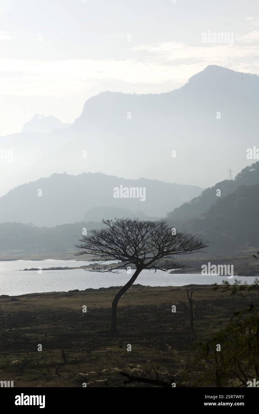 Allayar Dam, Pollachi, Tamil Nadu, India, Asia Stock Photo - Alamy