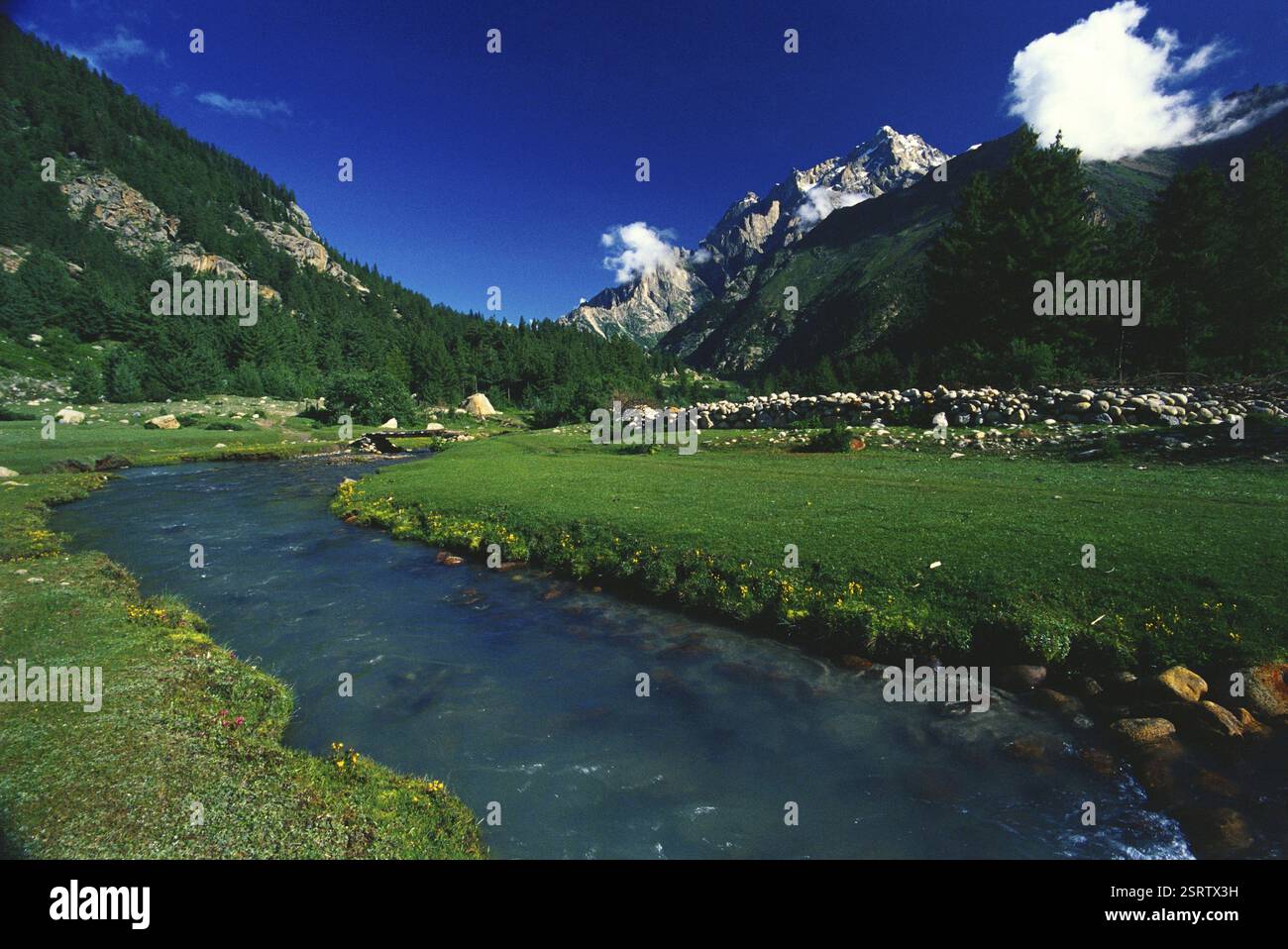 River, Raksham, Sangla, Kinnaur, Himachal Pradesh, India, Asia Stock ...