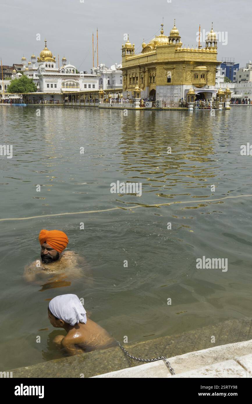 Man bathing in pond, golden temple, amritsar, punjab, India, Asia Stock ...