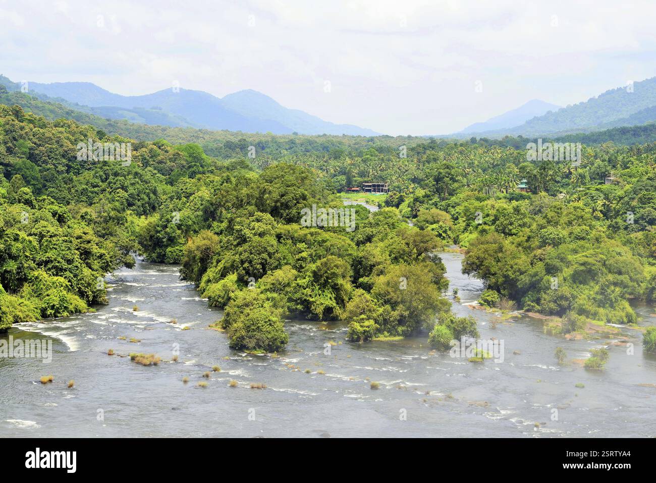 Chalakudy River, Vazhachal Forest, Thrissur, Kerala, India, Asia Stock Photo - Alamy