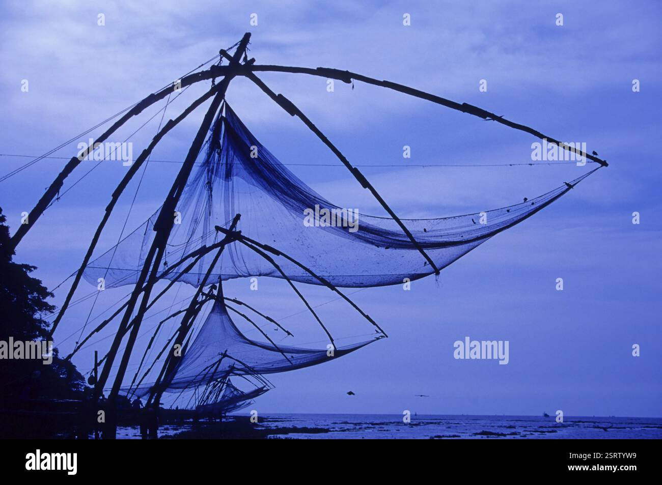 Cochin (Kochi), Kerala, India, Asia Stock Photo - Alamy