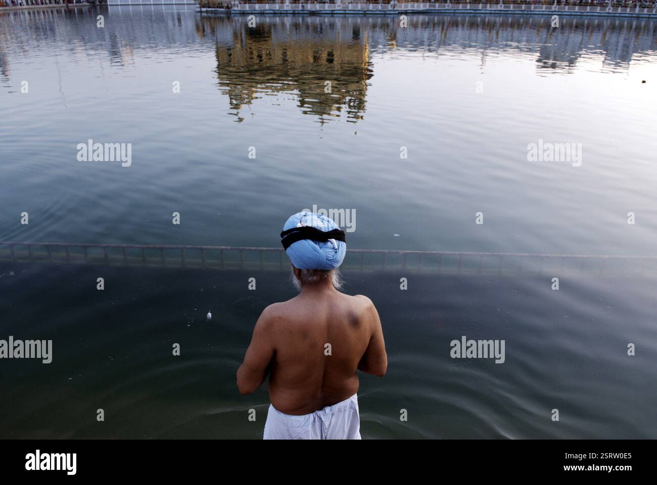 Sikh devotee take deep into holy Amrit sarovar or pond near Golden ...
