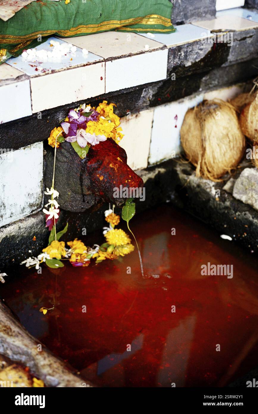 Starting point of river Godavari, Trimbakeshwar, Nasik, Maharashtra ...