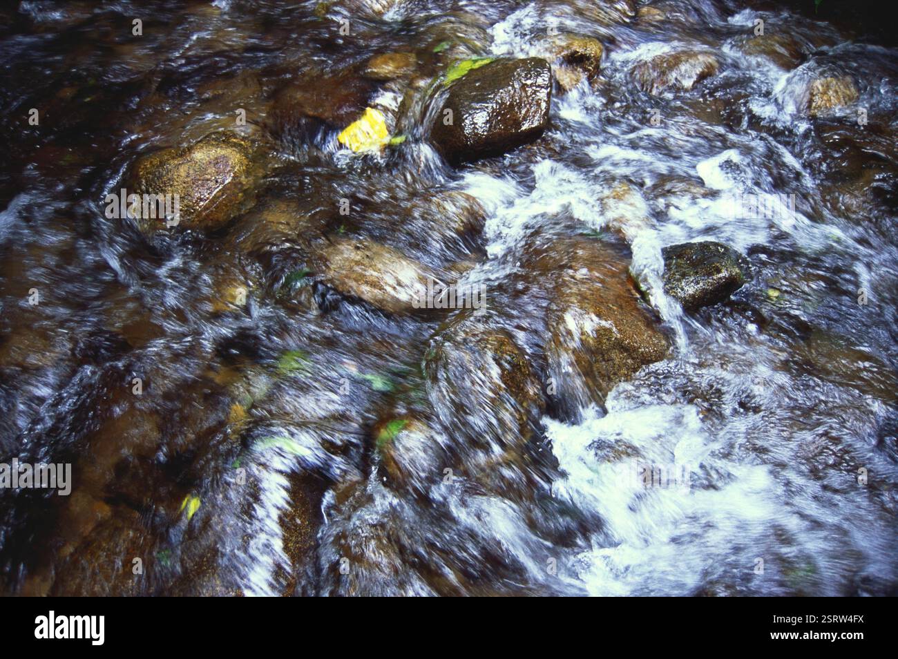 River lows, Mountain springs in Wayanad, Kerala, Western Ghats, India ...