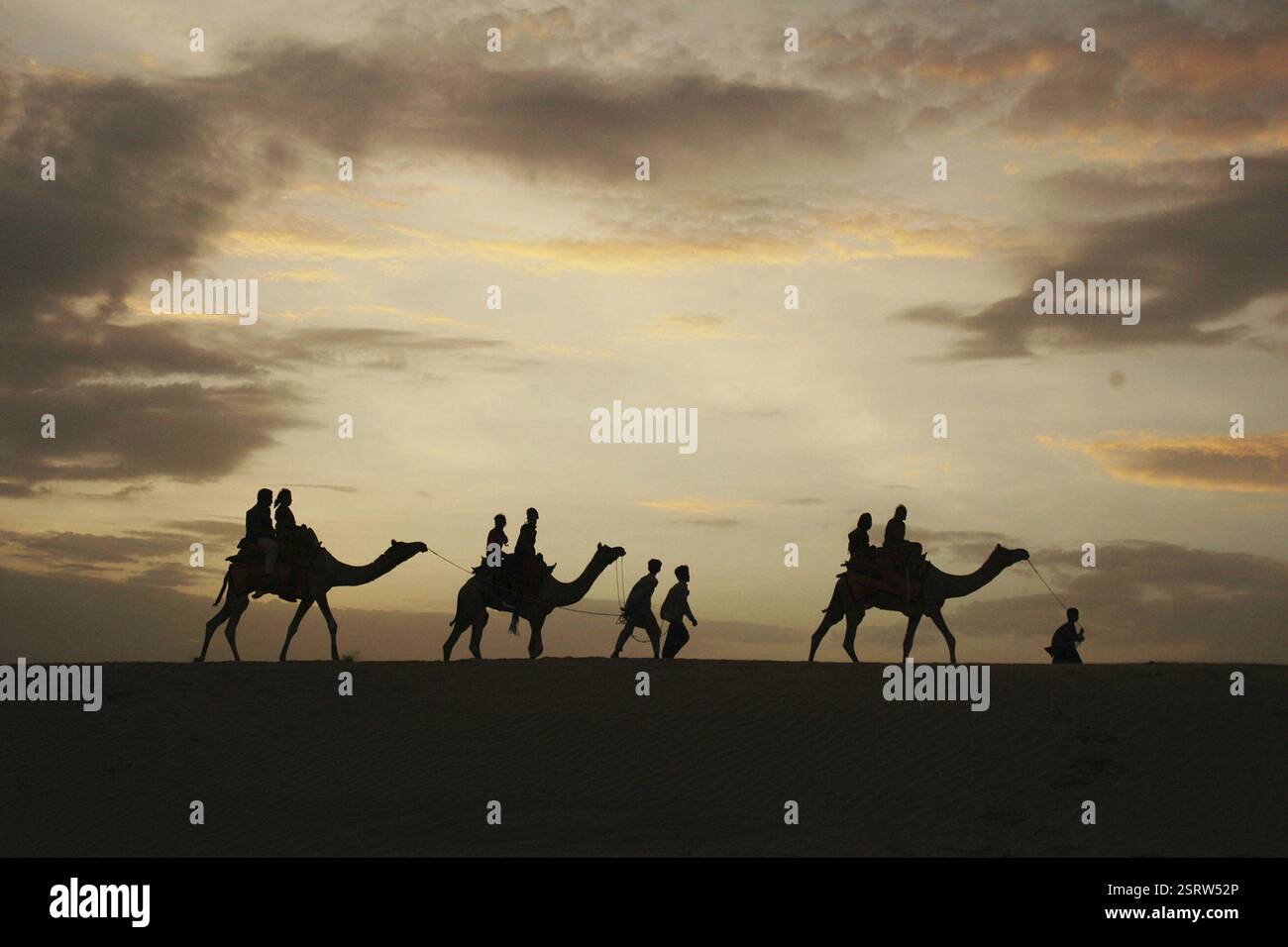 Tourist riding on a camel in desert, Kuri sum, Jaisalmer, Rajasthan ...