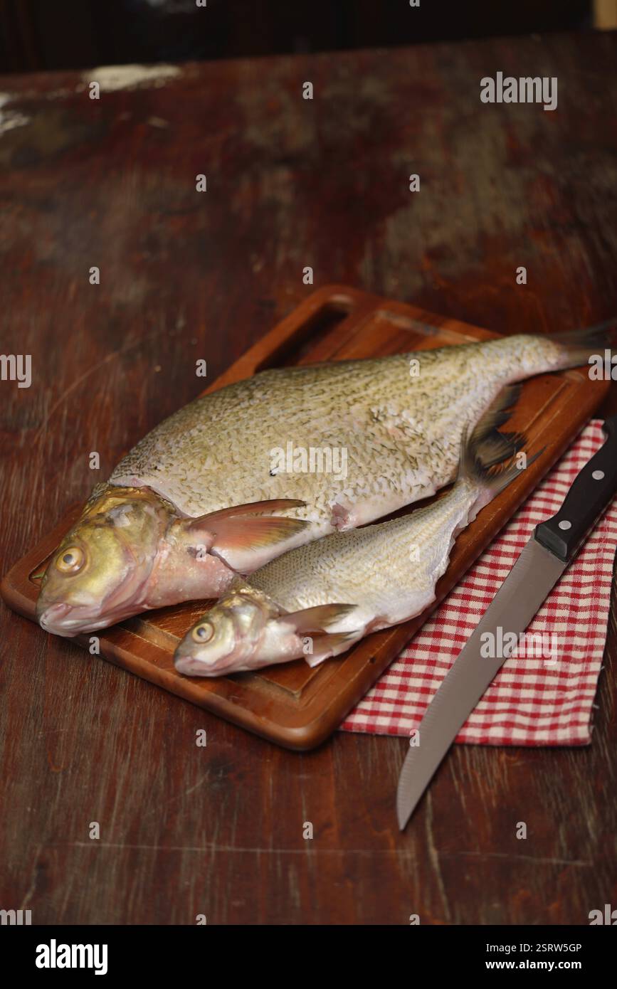 Freshwater bream hi-res stock photography and images - Alamy