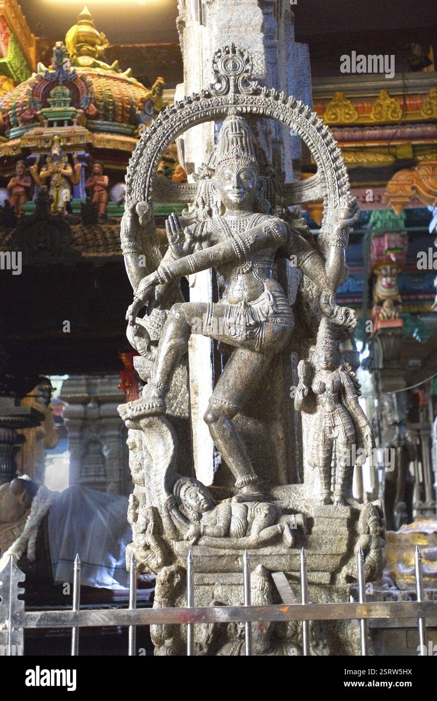 Natraj sculpture in kambatadi mandapa in meenakshi temple in, Madurai ...