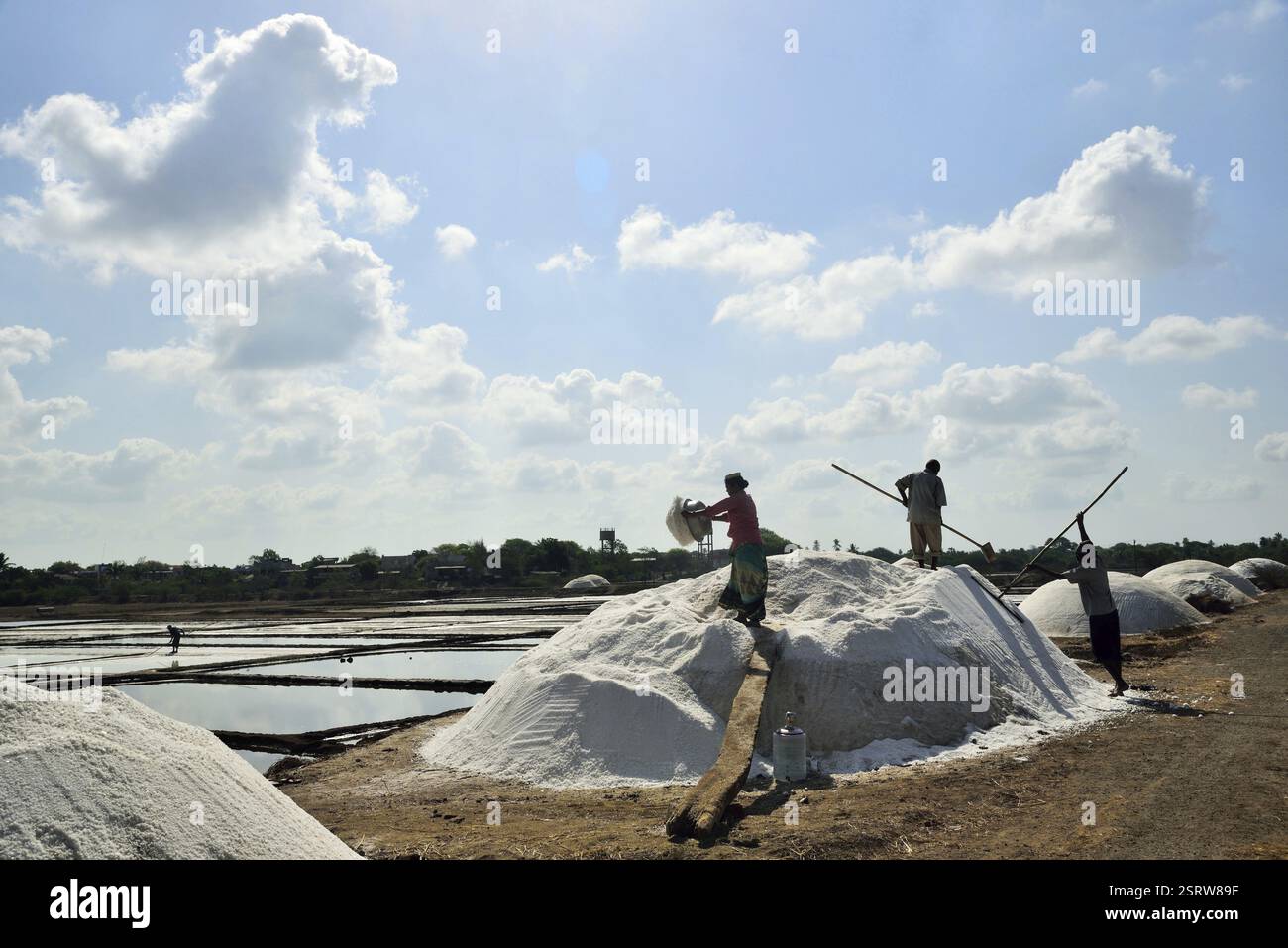 People working at salt pans, Chharwada, Valsad, Gujarat, India, Asia ...