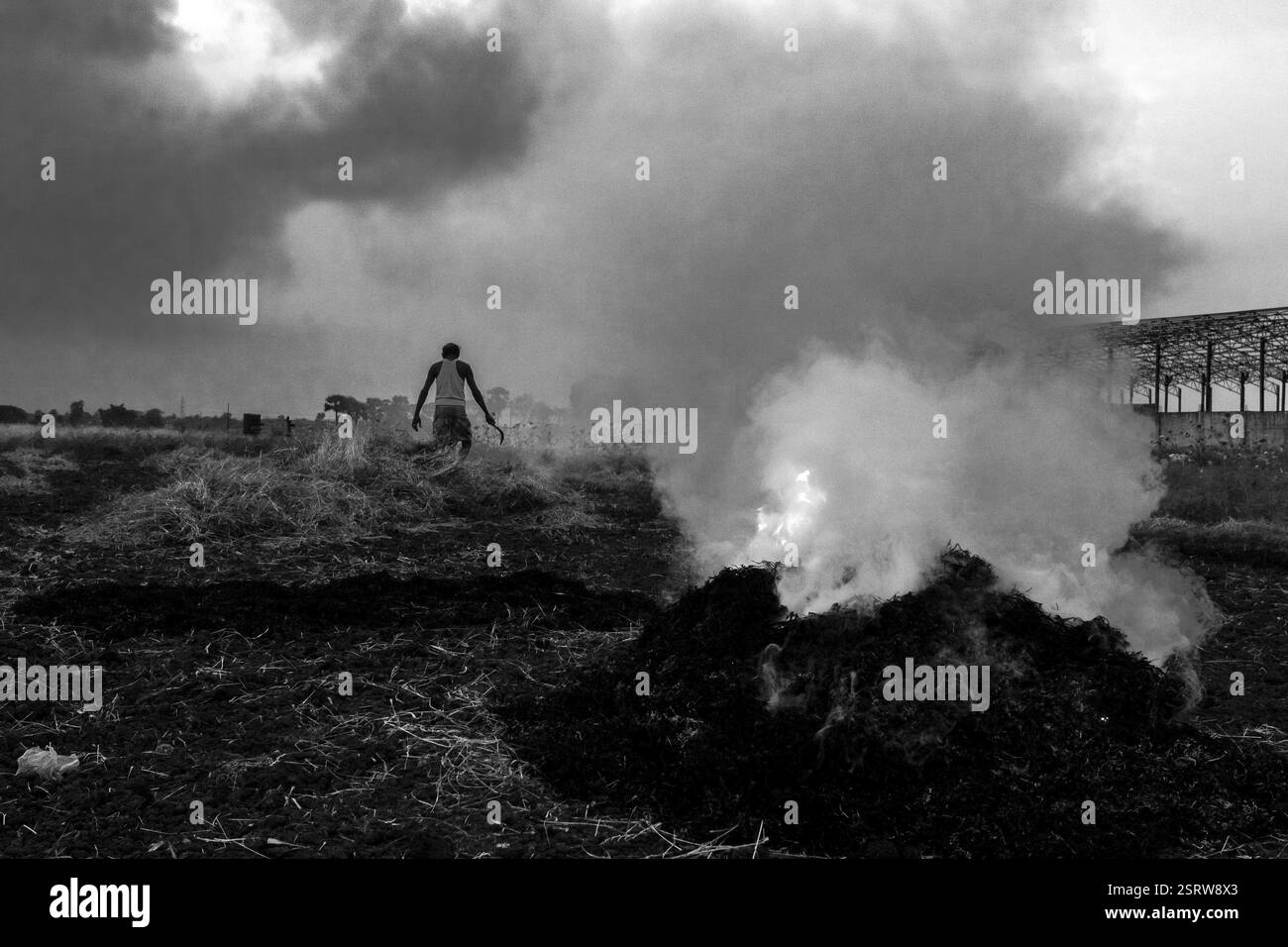 Farmer burning waste in field, Rajarhat, West Bengal, India, Asia Stock ...