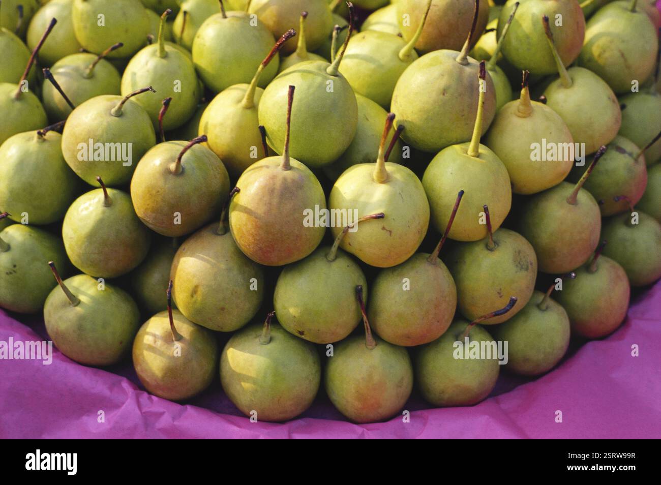 Green pears in a stall, India, Asia Stock Photo - Alamy