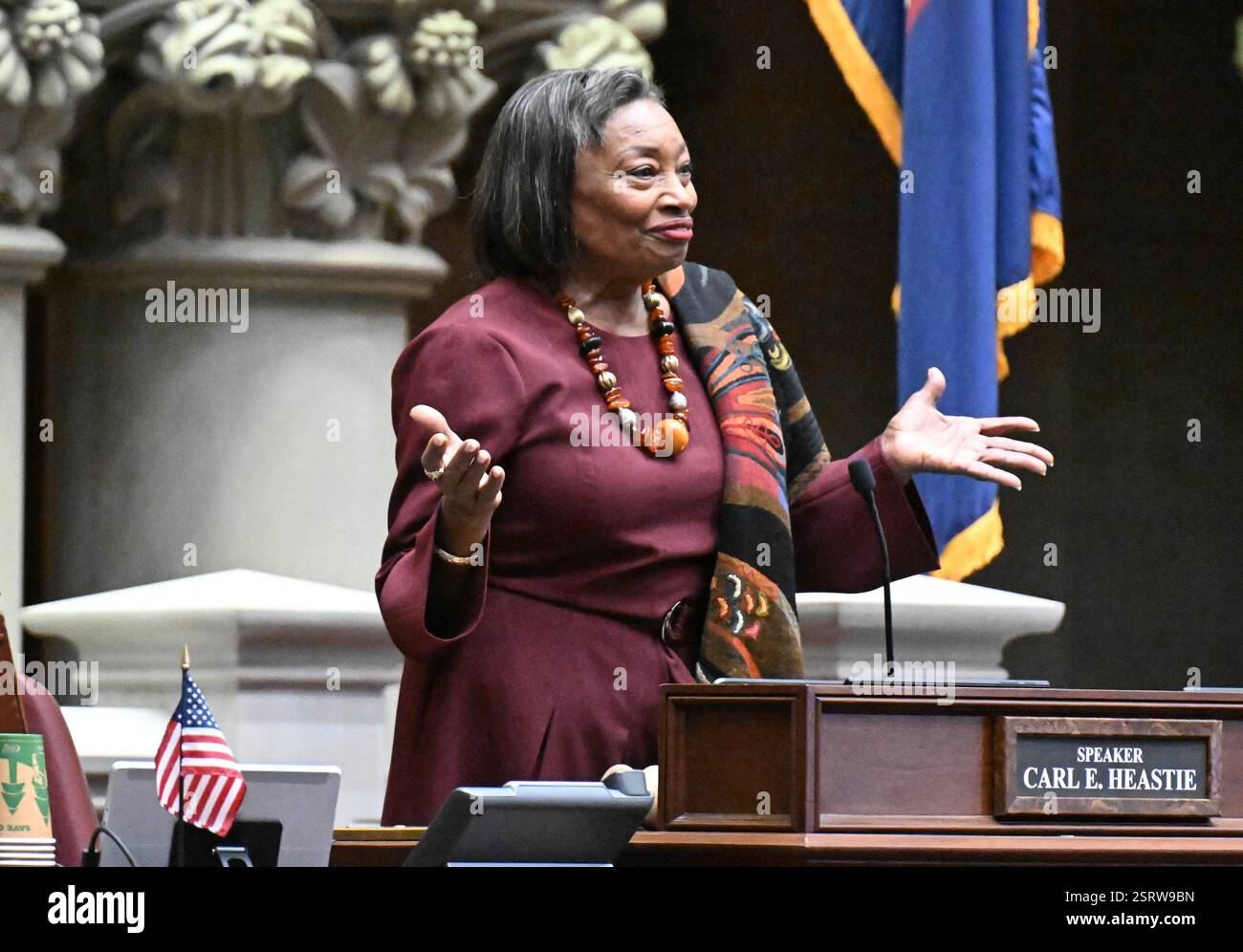 Albany, New York, USA. 15th Feb, 2025. New York Senate Majority Leader ...