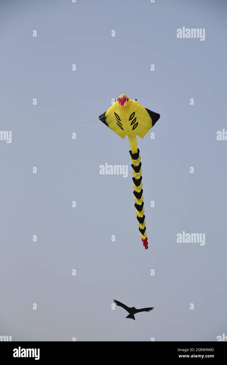 Kite like snake, International Kite Festival, Tithal, Valsad, Gujarat ...