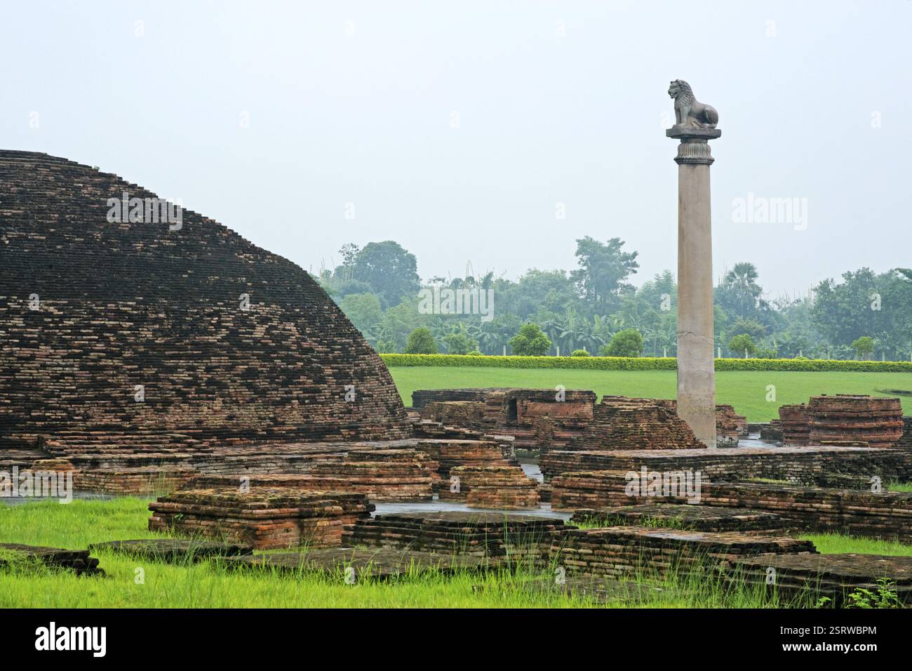 Ashoka pillar, Kolhua, Vaishali, Bihar, India, Asia Stock Photo - Alamy Ashoka pillar, Kolhua, Vaishali, Bihar, India, Asia Stock Photo - Alamy