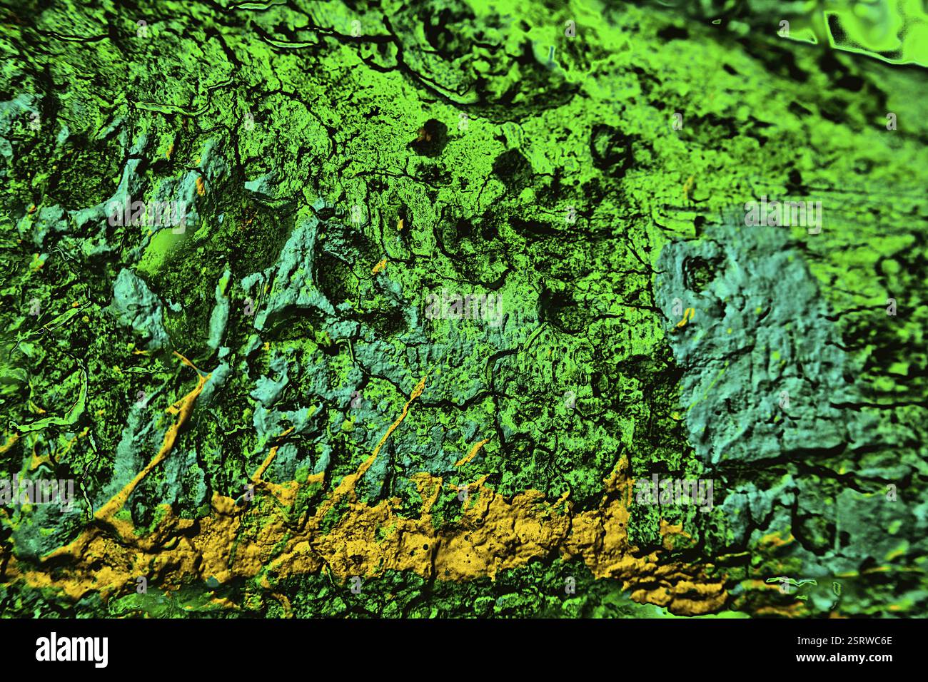 Modern fine art computer graphics designs paintings creative curve and ...