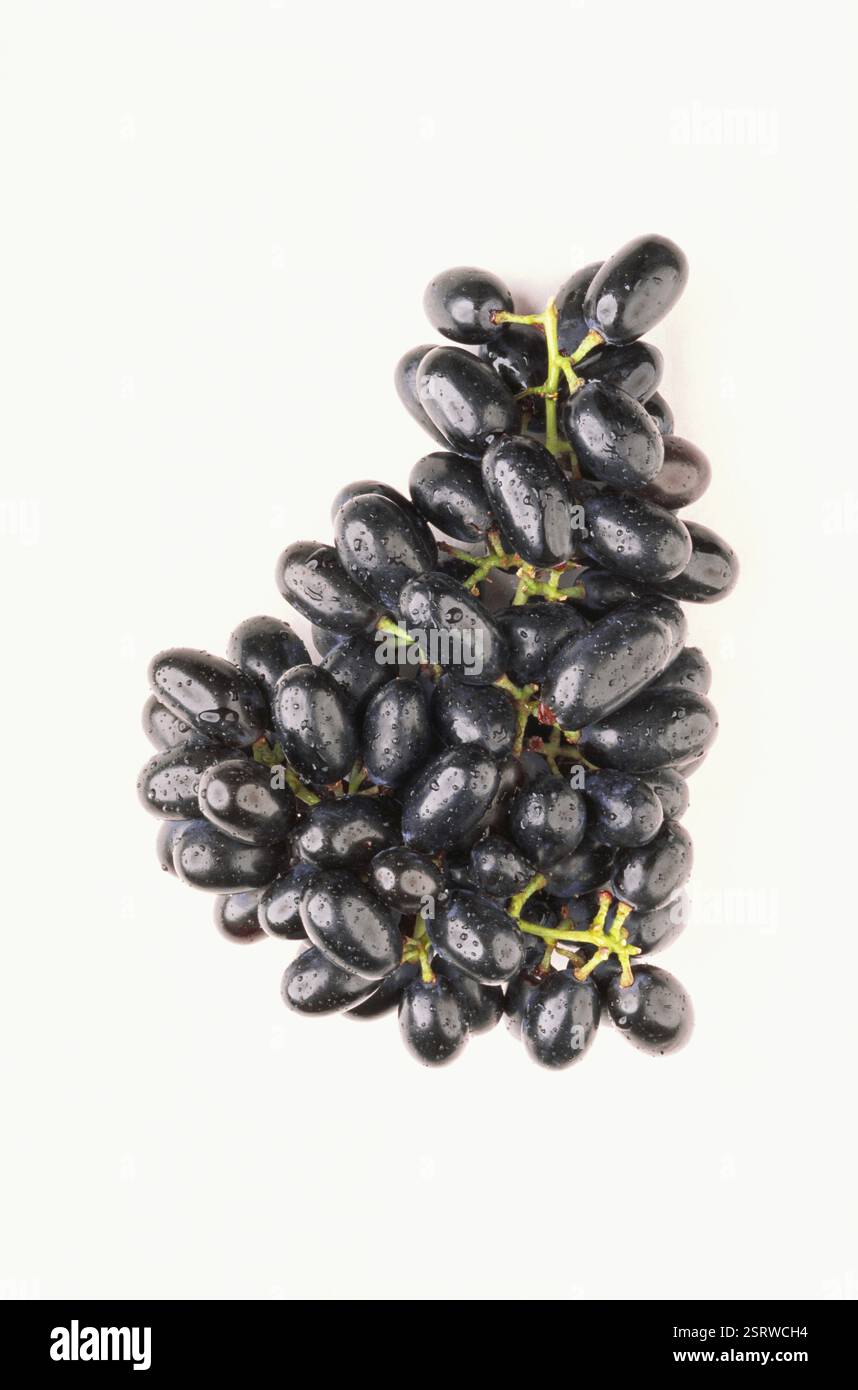 Black grapes, India, Asia Stock Photo - Alamy