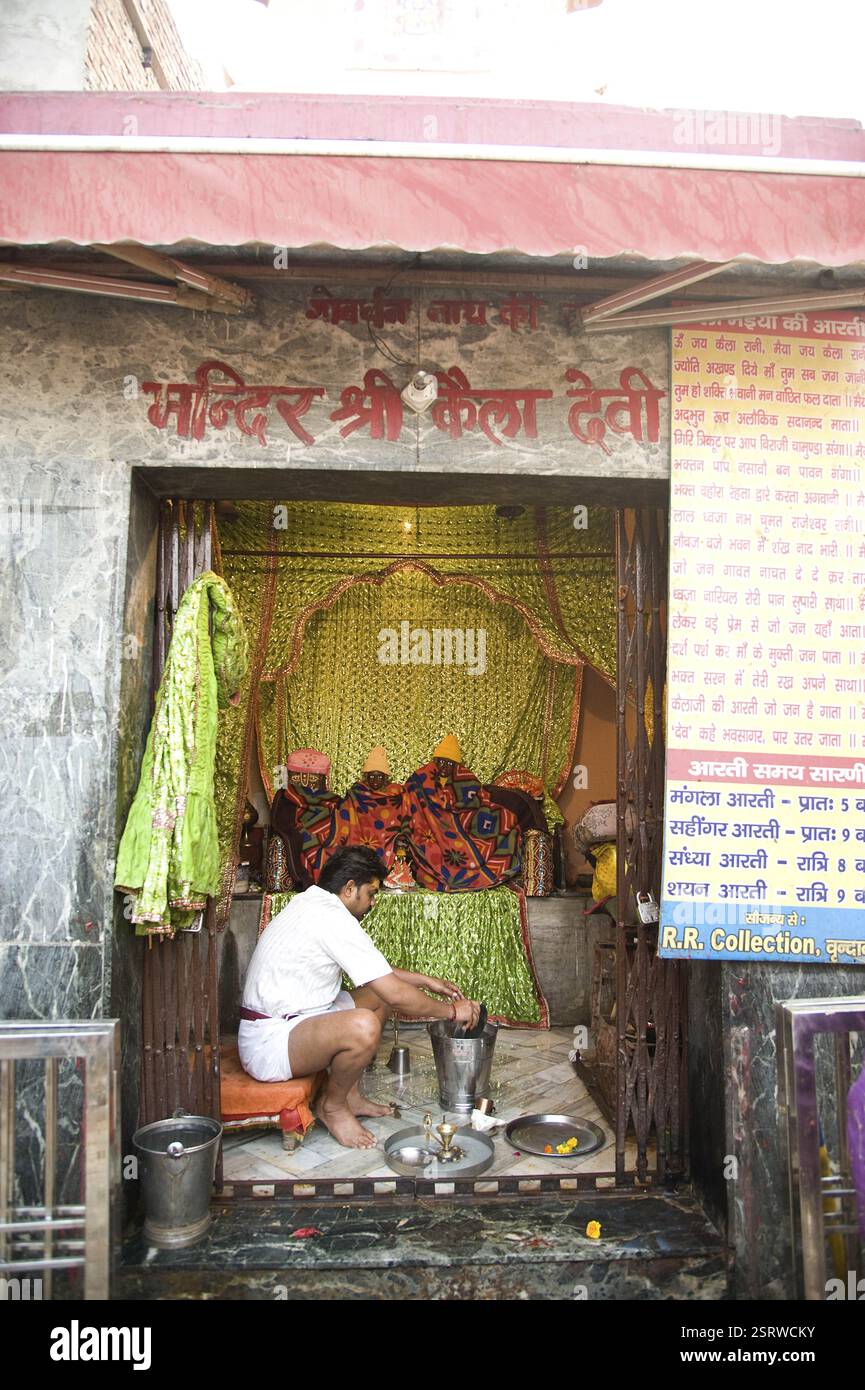 Statue in shri kaila devi temple, mathura, uttar pradesh, india, asia ...
