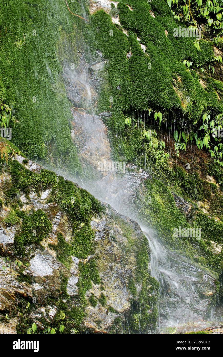 Waterfall, Lachen, North Sikkim, India, Asia Stock Photo - Alamy