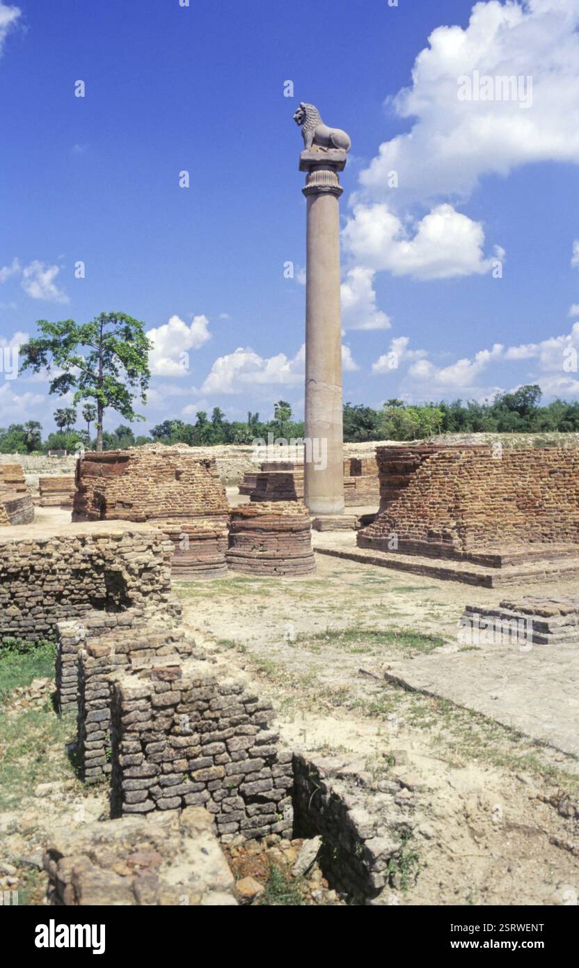 Ashoka Pillar, Kolhua, Vaishali, Bihar, India, Asia Stock Photo - Alamy Ashoka Pillar, Kolhua, Vaishali, Bihar, India, Asia Stock Photo - Alamy
