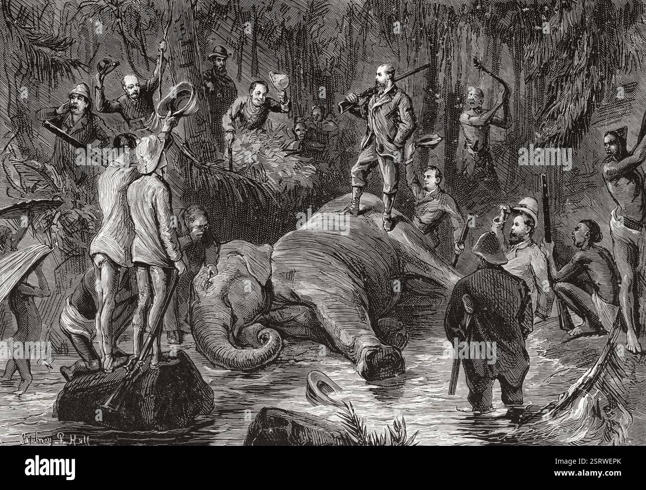 Albert Edward During elephant hunt in Ceylon, Sri Lanka, Asia Stock ...