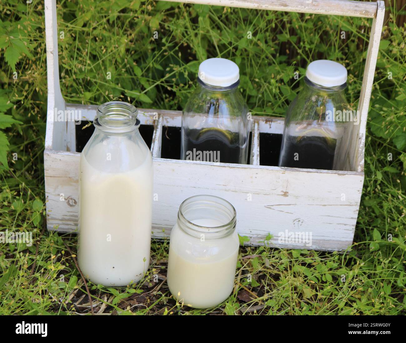 Dairy cows producing raw milk Stock Photo - Alamy