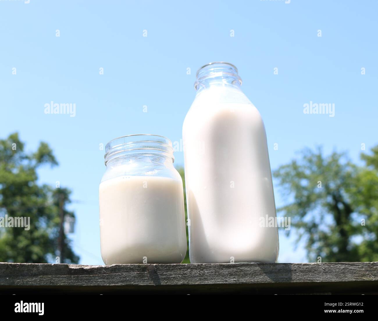 Dairy cows producing raw milk Stock Photo - Alamy