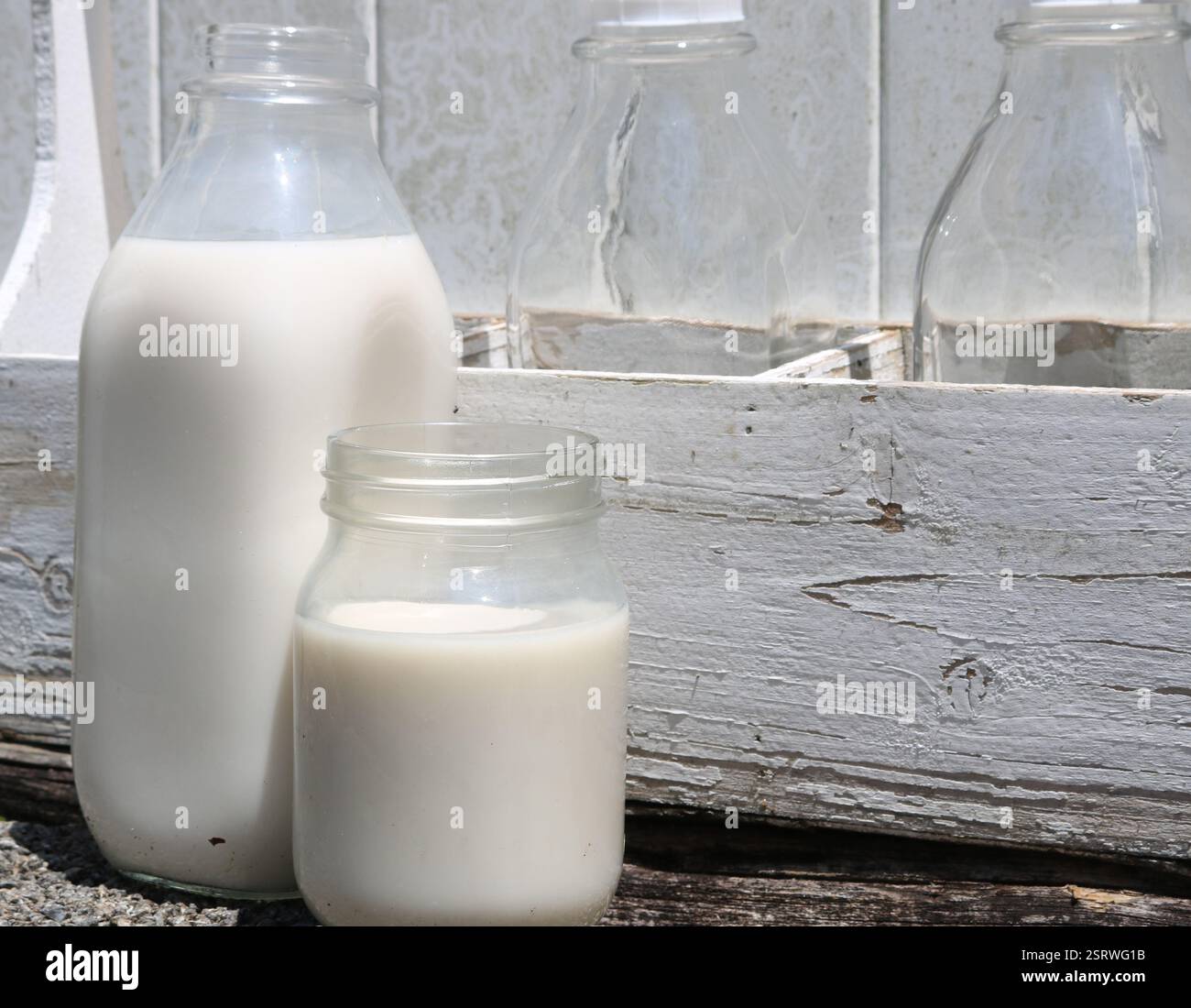 Dairy cows producing raw milk Stock Photo - Alamy