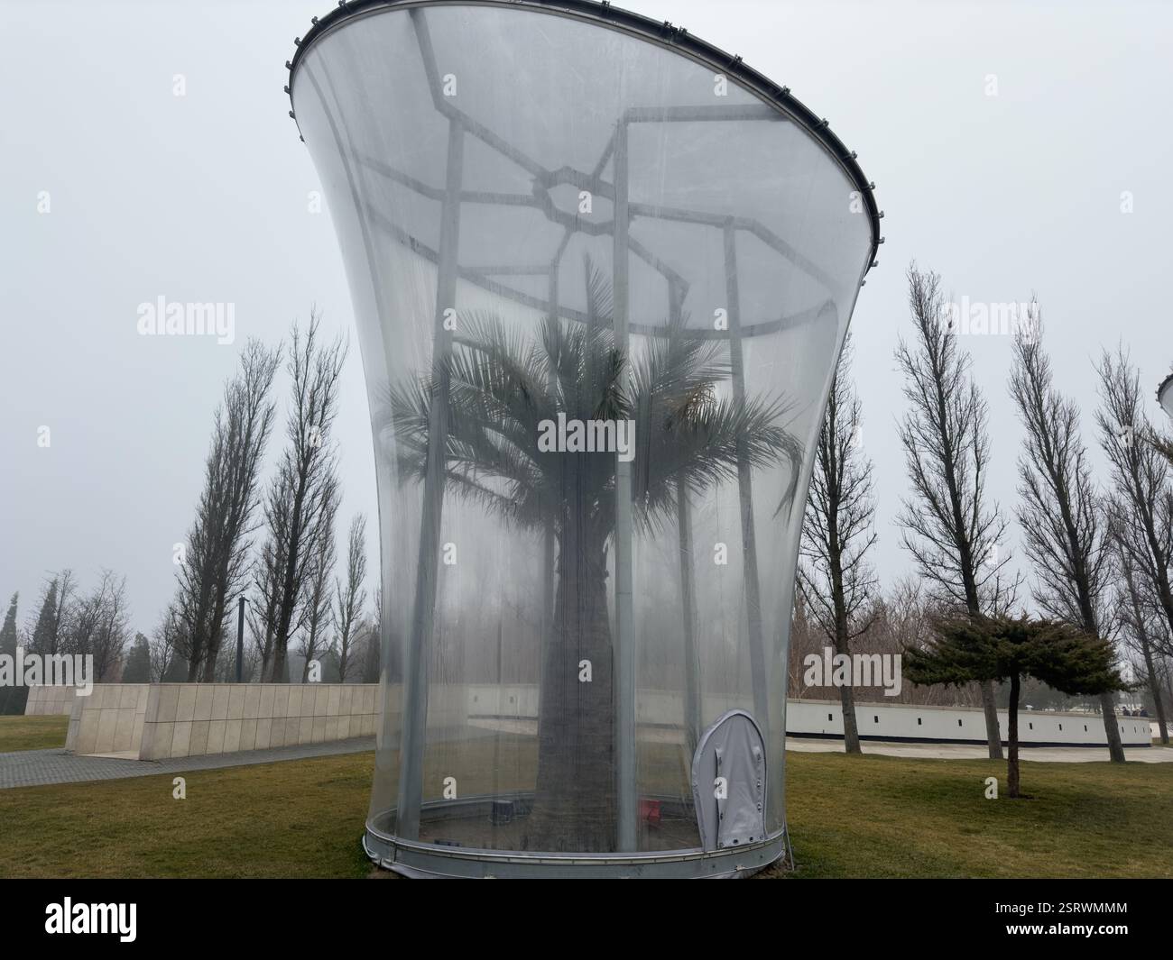 Enclosed palm tree inside a transparent protective structure Stock ...