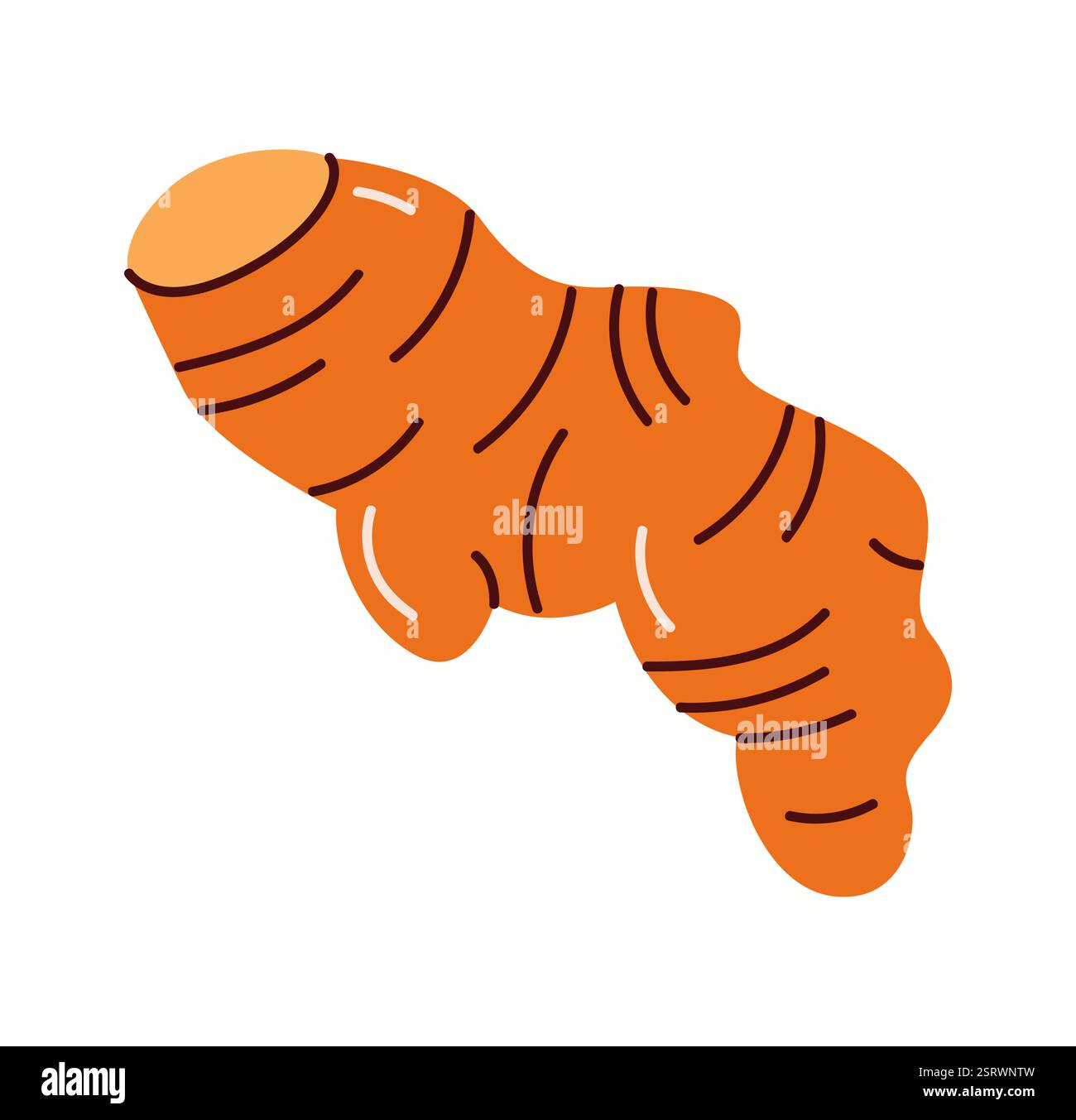 Vector flat illustration of a ginger root with bright orange color and ...