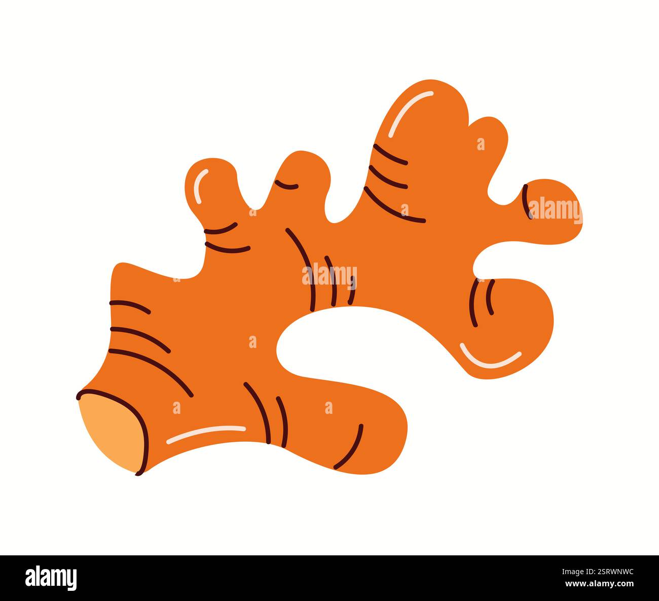 Vector flat illustration of a ginger root with an irregular curved ...
