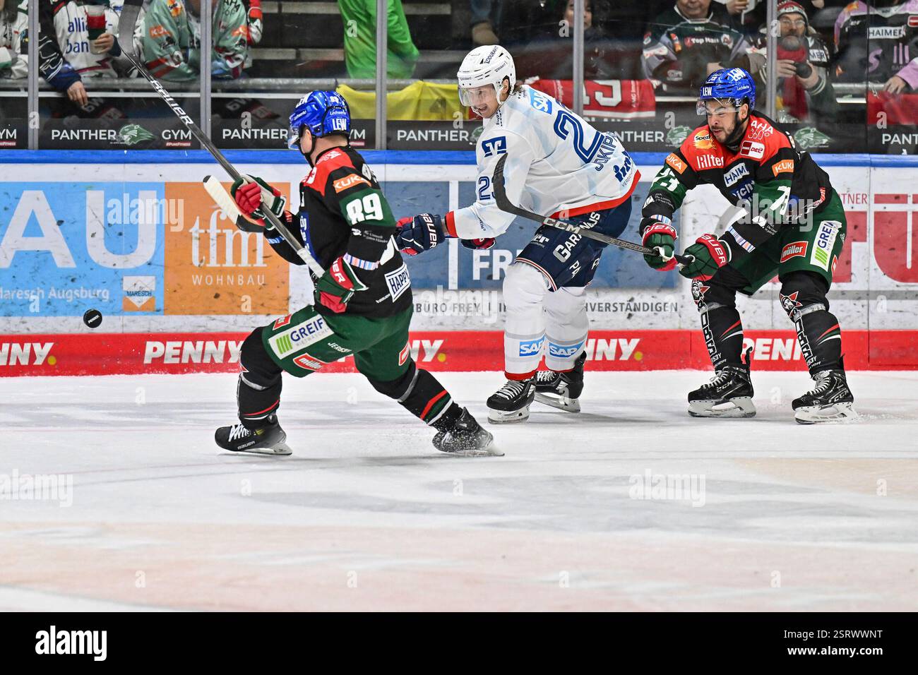 Augsburg, Deutschland. 16th Feb, 2025. v. l. Mark ZENGERLE (Augsburger ...