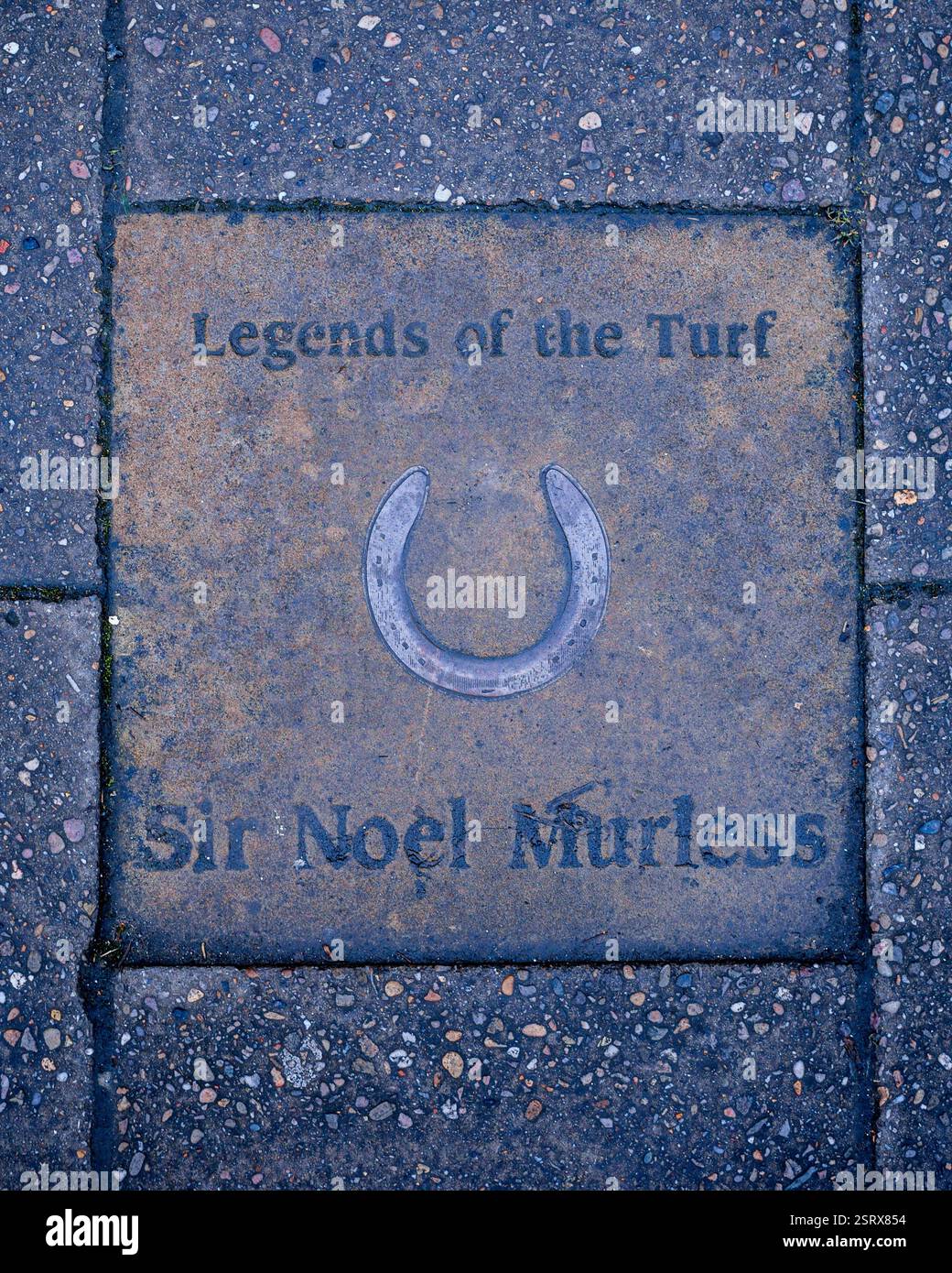 Legends of the Turf Newmarket - Newmarket's 'Walk of Fame ...