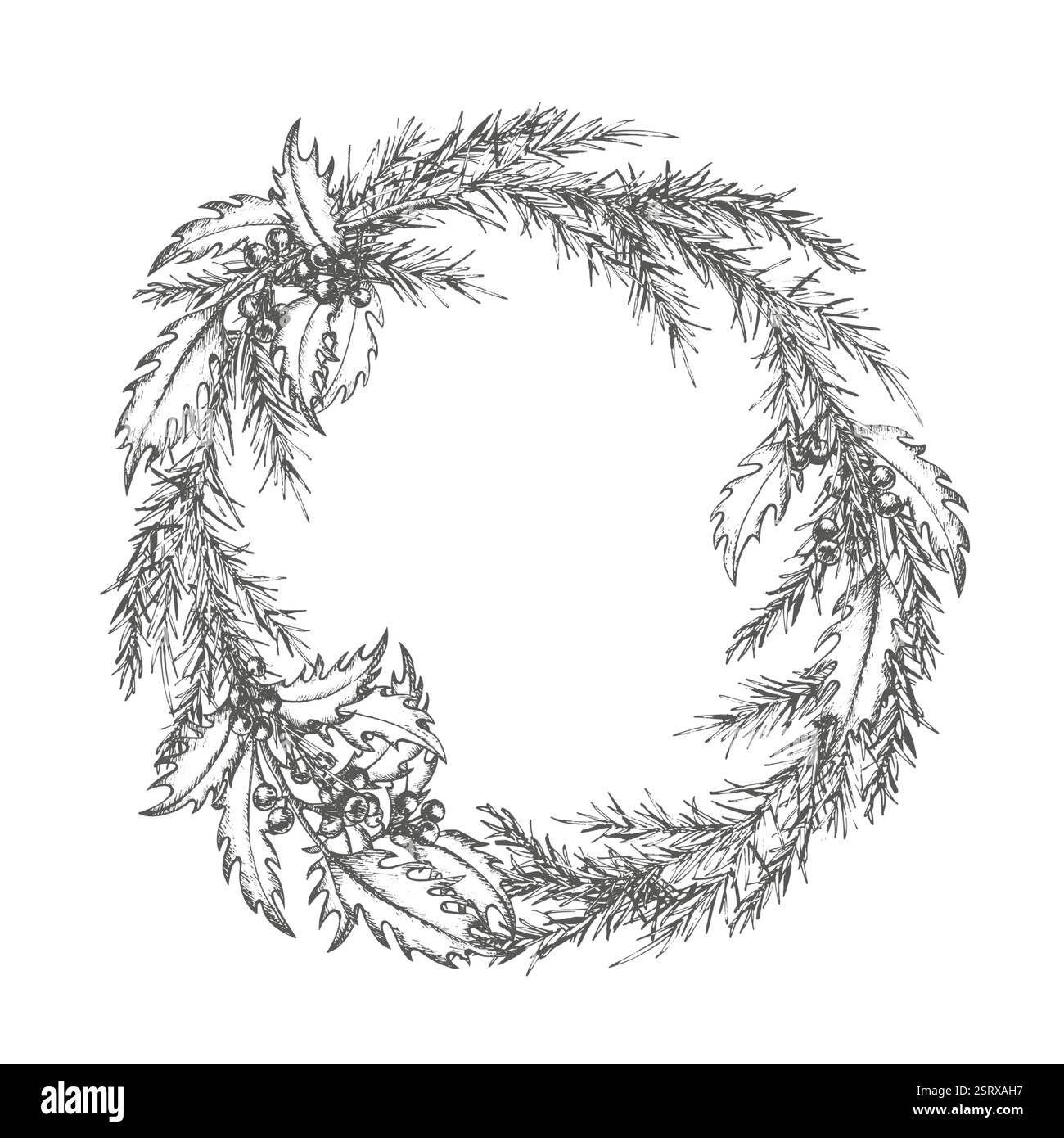 Sprig of conifer Stock Vector Images - Alamy