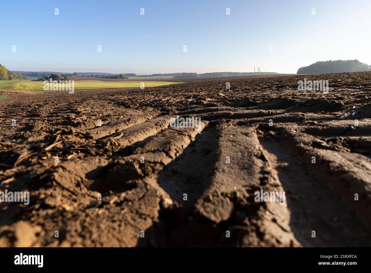 traces of tread of automobile wheels on the plowed soil of the field ...
