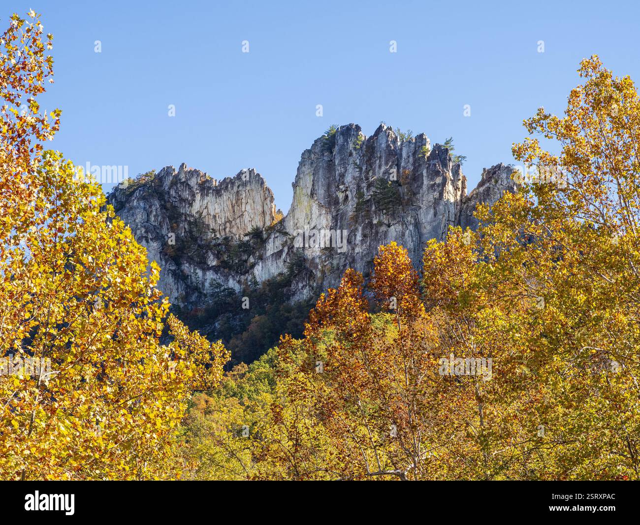 The jagged mountain top of Seneca Rocks, West Virginia, stands tall ...