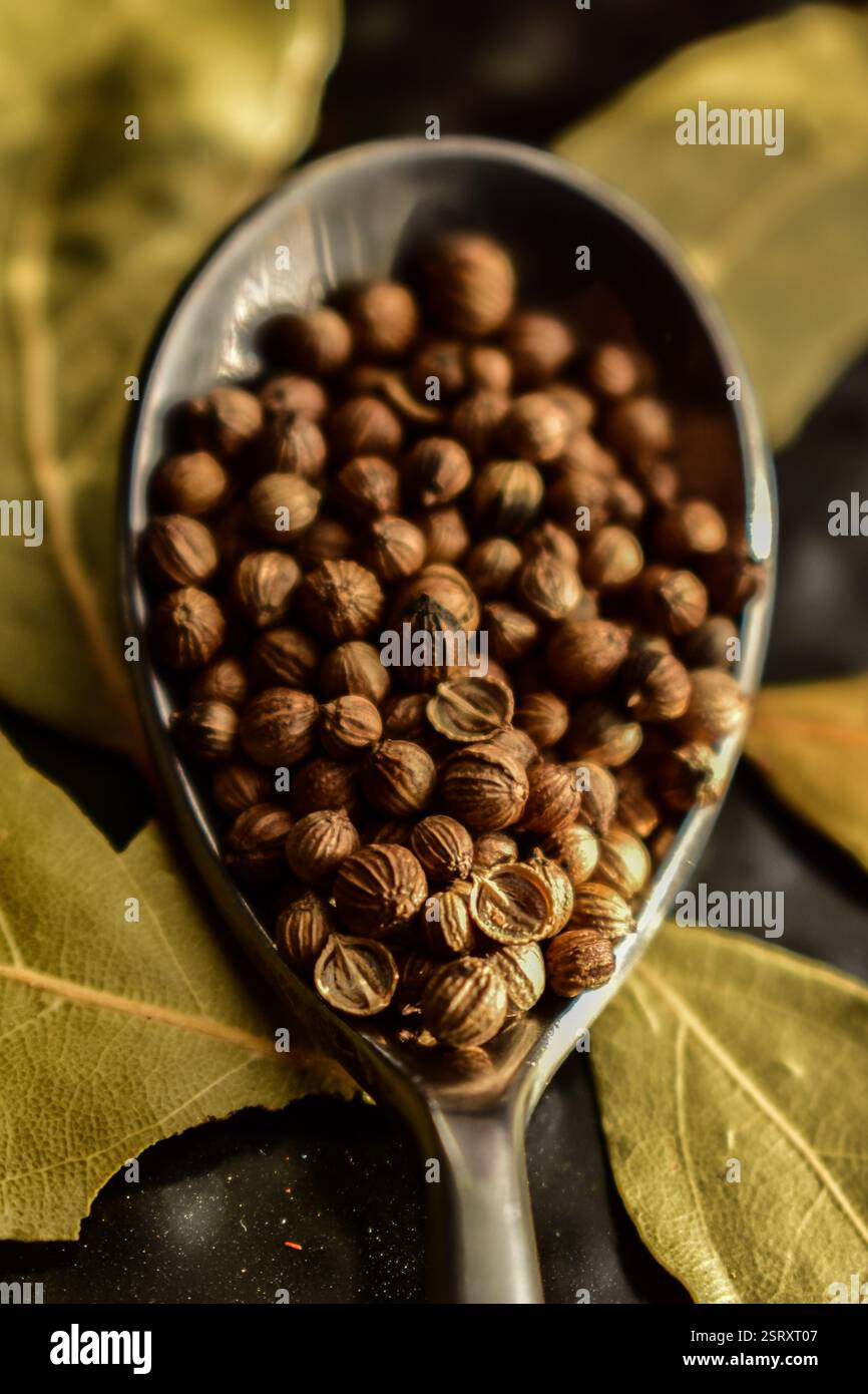 Abstract culinary image with dried coriander seeds and bay leaves ...
