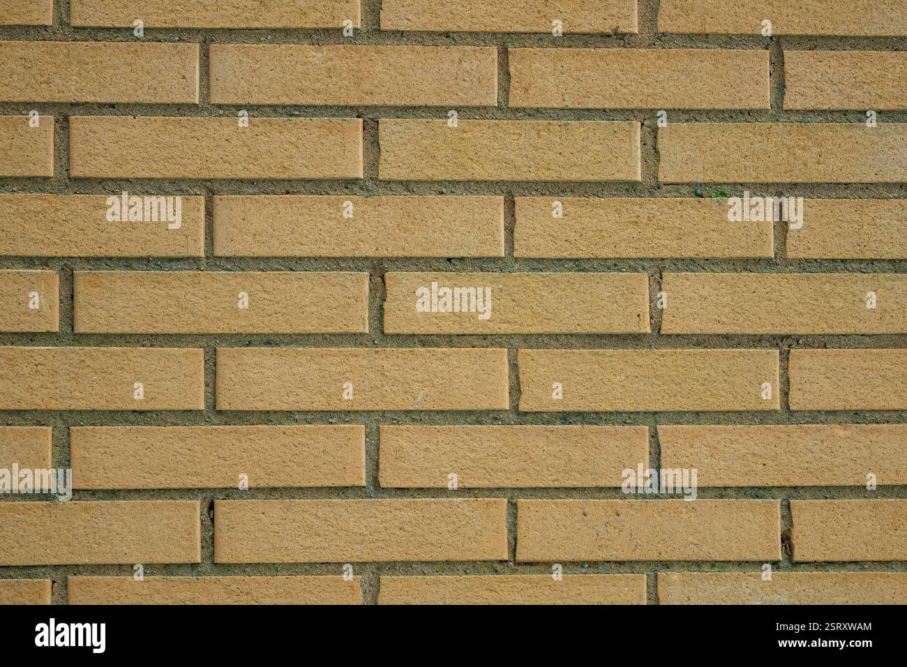 This solid surface features neatly arranged bricks in warm beige tones ...