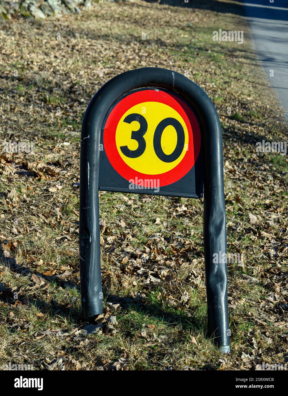 A round speed limit sign with a bold black '30' on a bright yellow ...