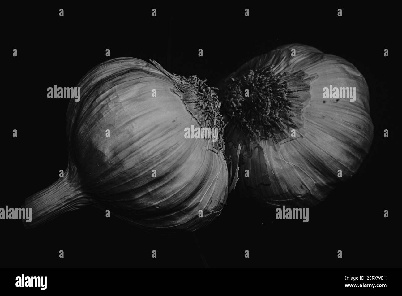 White monochrome food background hi-res stock photography and images ...