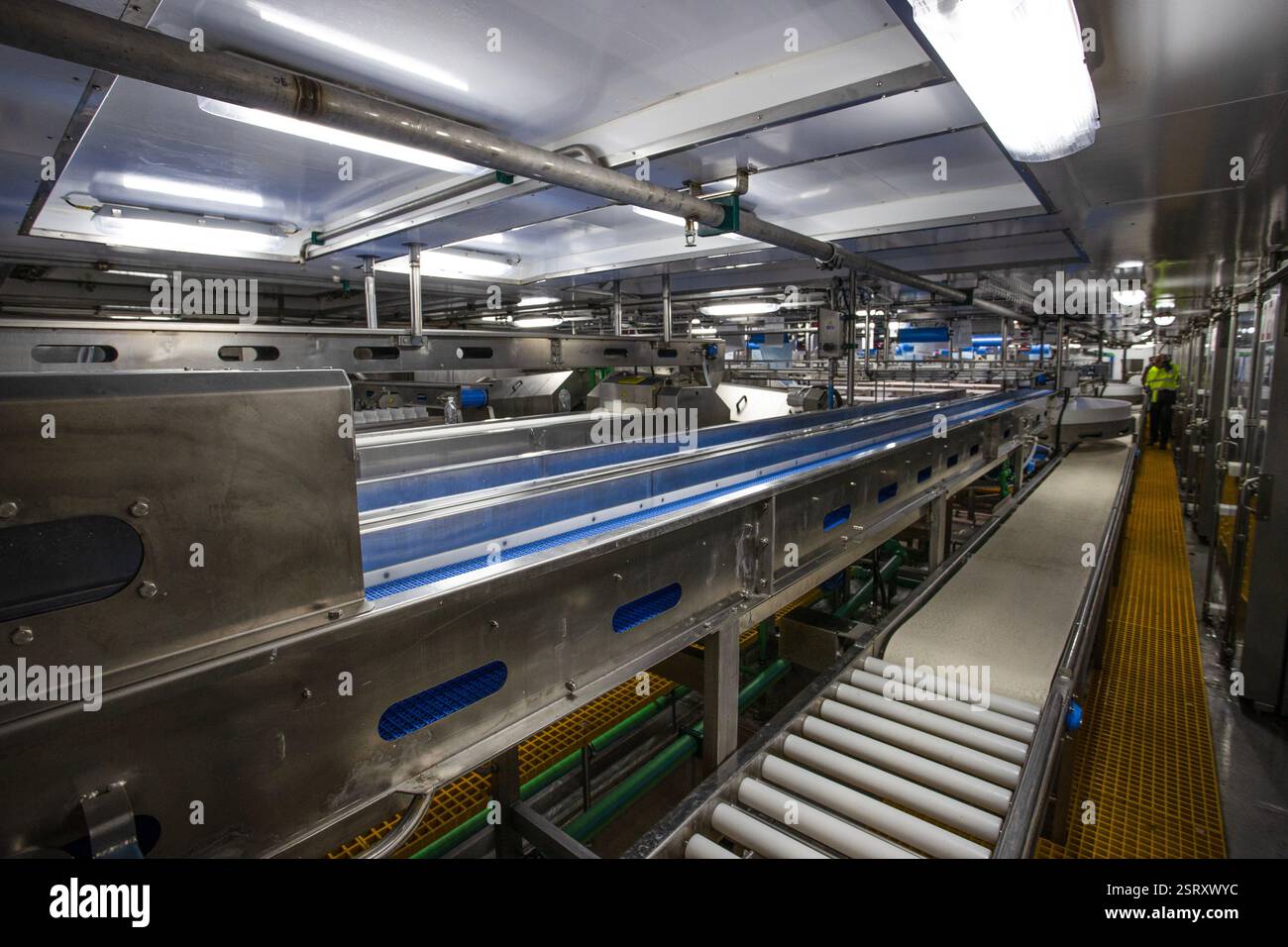The interior sorting and freezing deck on The Hadassa Bay squid Freezer ...