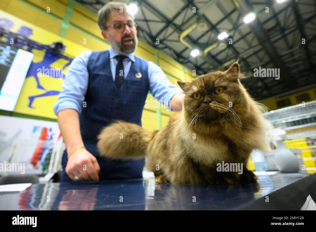A judge examines a purebred competitor at the Central European Winner ...