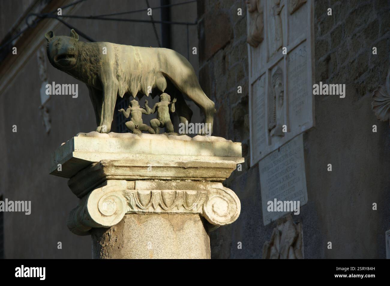 A close up of Romulus and Remus statue over a column in Campidoglio Square, Rome Stock Photo - Alamy