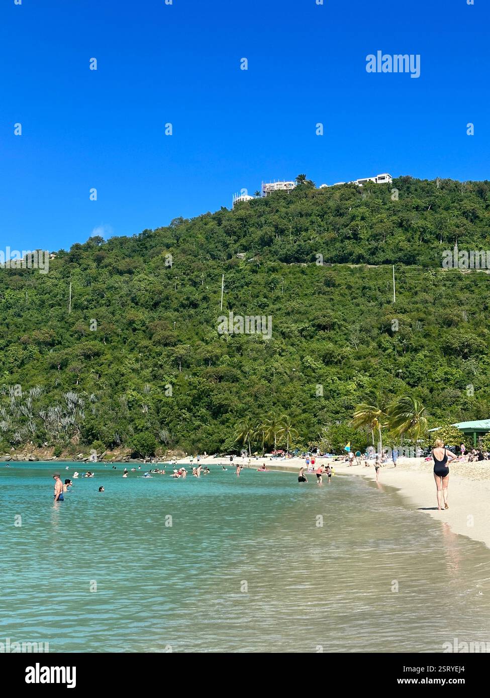 Magens Bay Beach, St Thomas, United States Virgin Islands Stock Photo ...